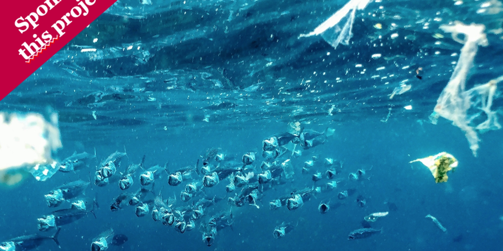 Microplastics in Marine Environment - EndPlasticSoup