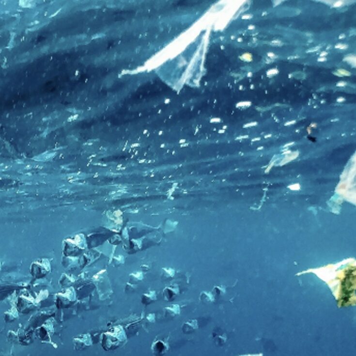 Facts and figures - EndPlasticSoup