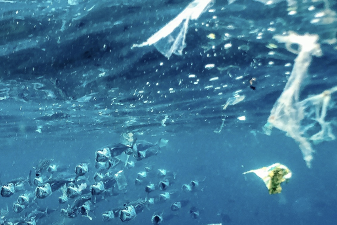 Our oceans have learnt how to eat plastic! - EndPlasticSoup