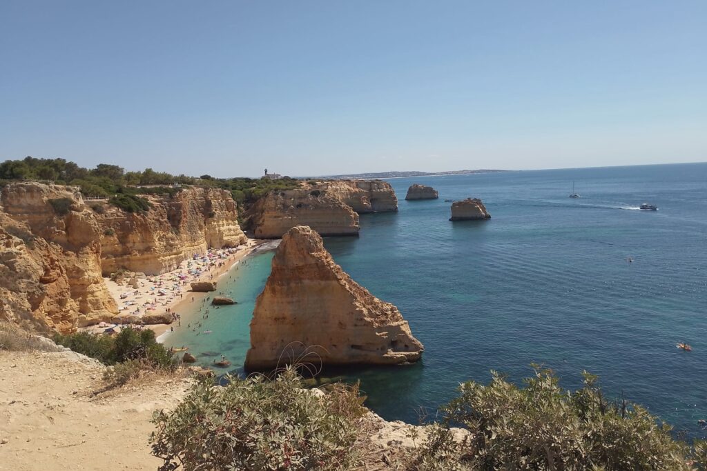 Ocean Guardians - Marine project in Portugal - EndPlasticSoup